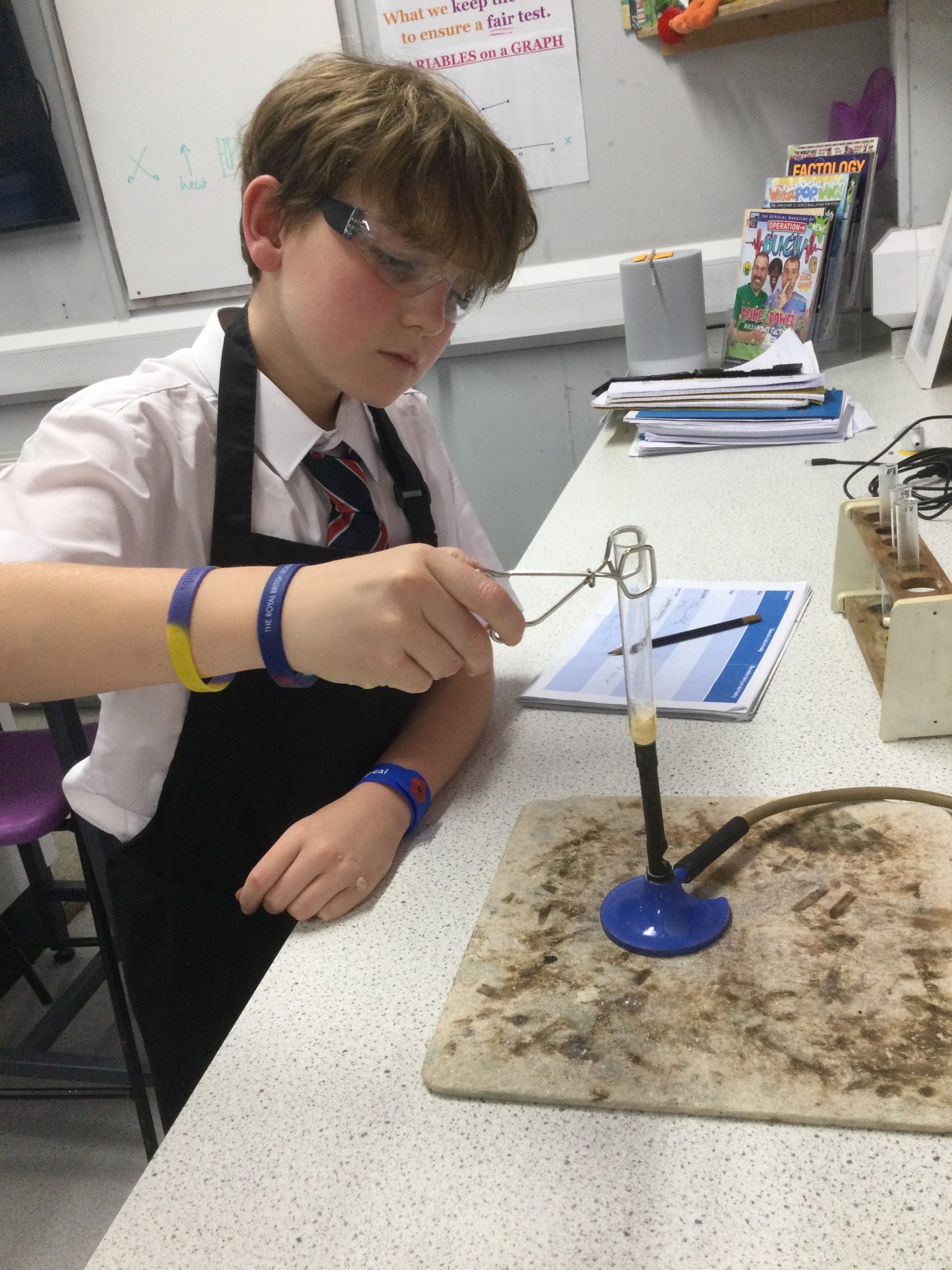Windlesham House School - All things science