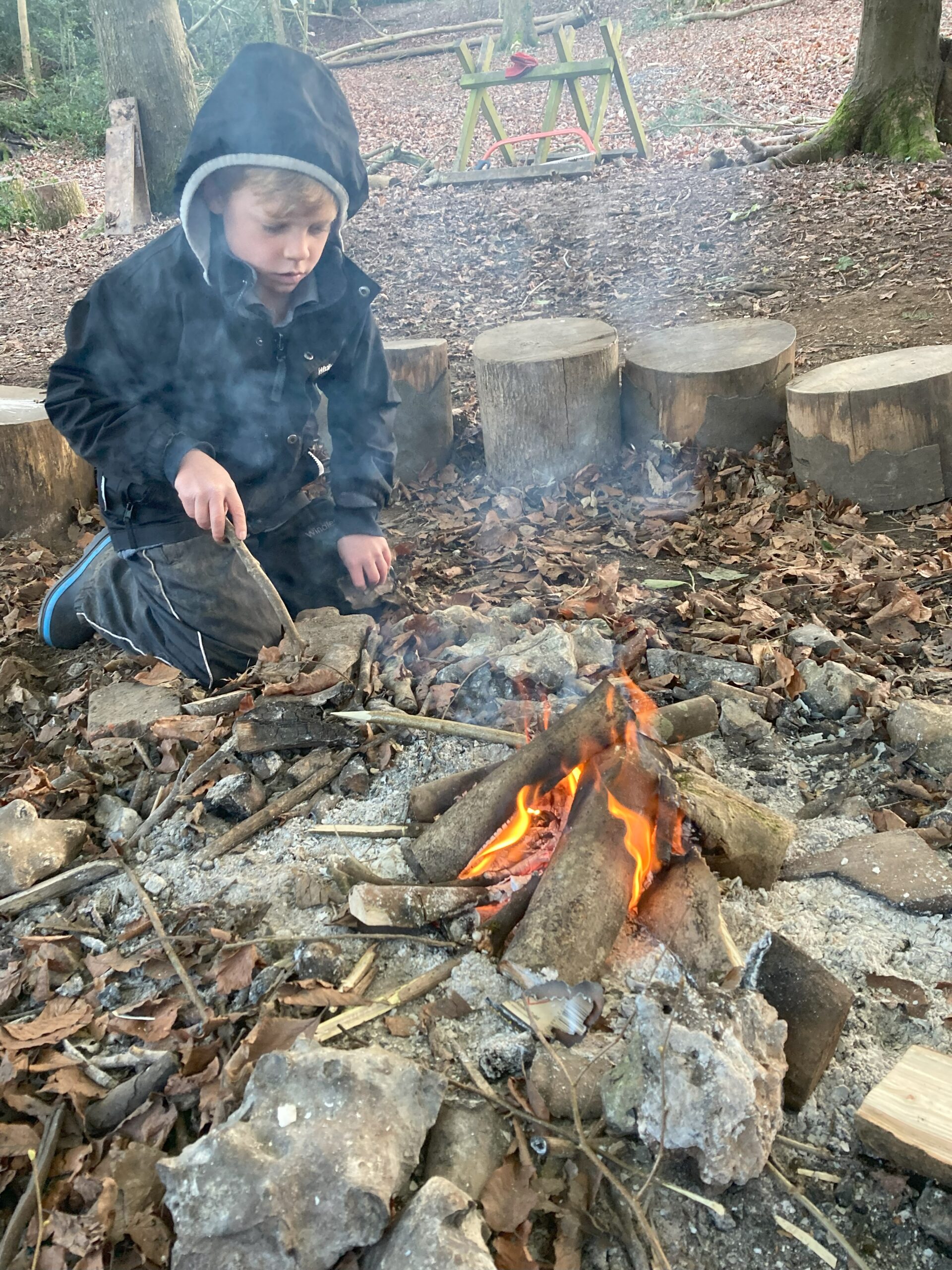 The sun shines on forest school