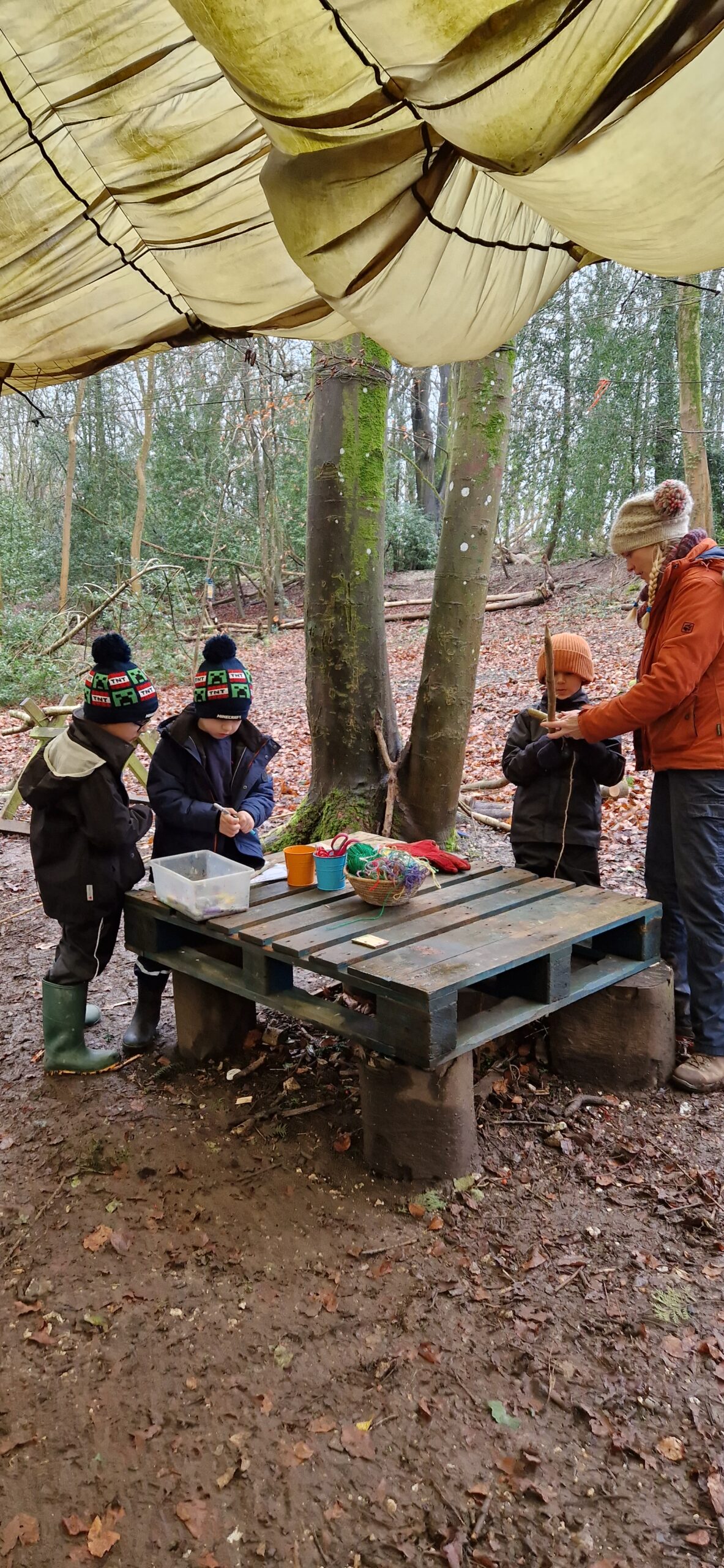 The sun shines on forest school