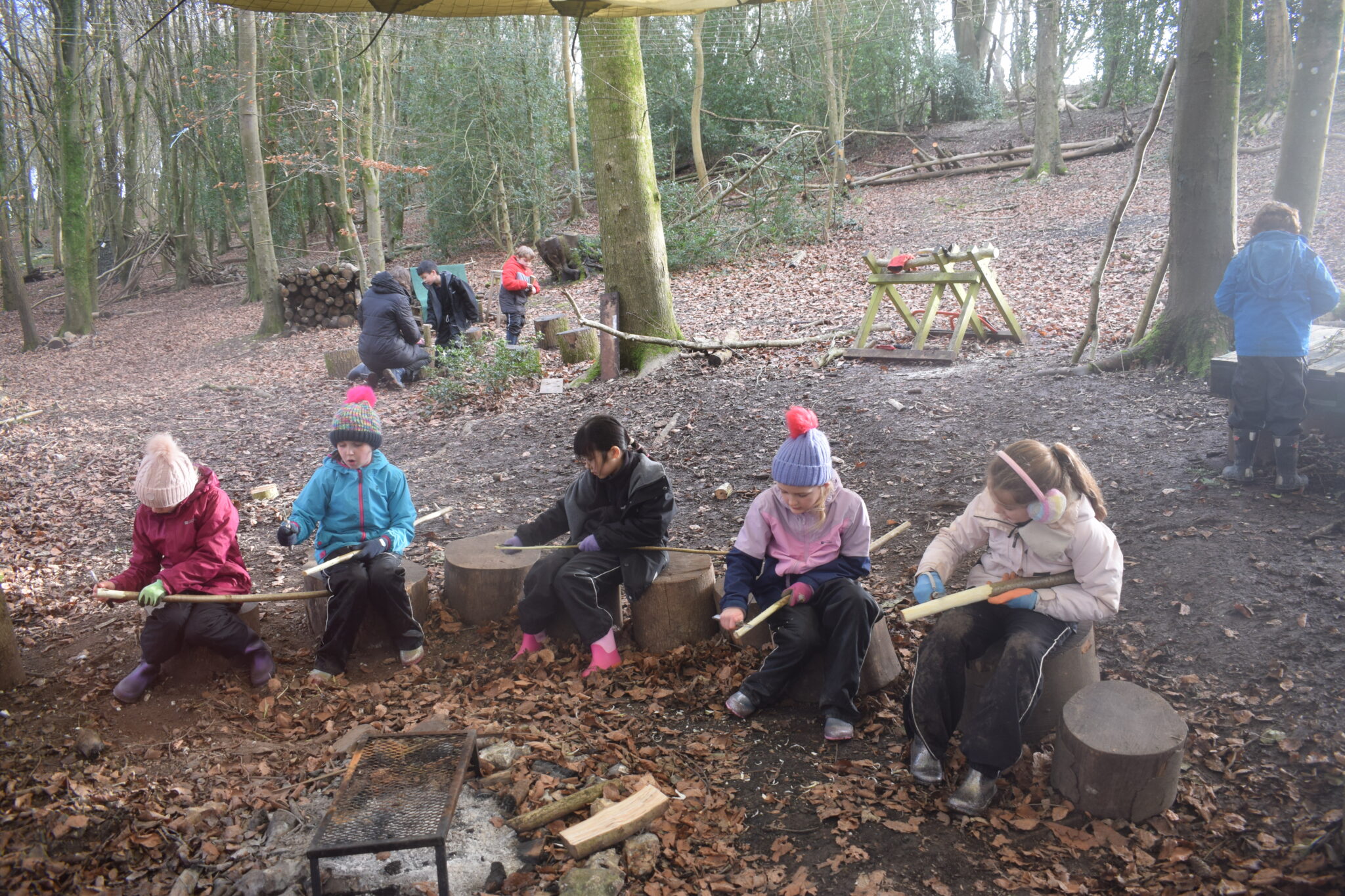 The sun shines on forest school
